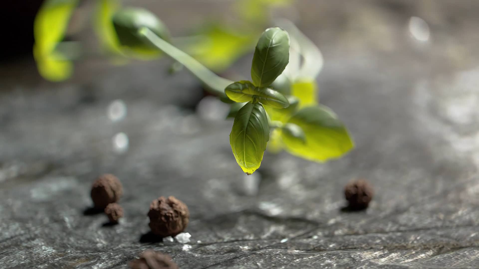 Salt, pepper, basil. In motion. on Vimeo