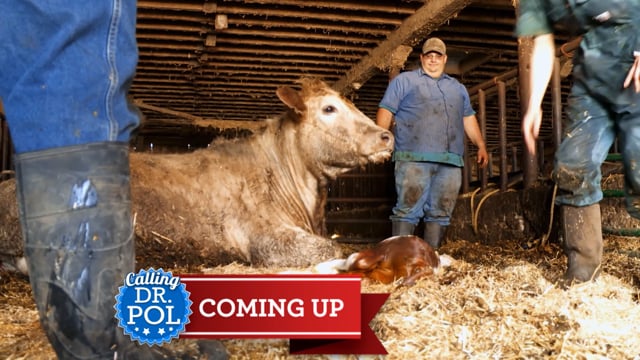 One Magnificent Morning on Vimeo