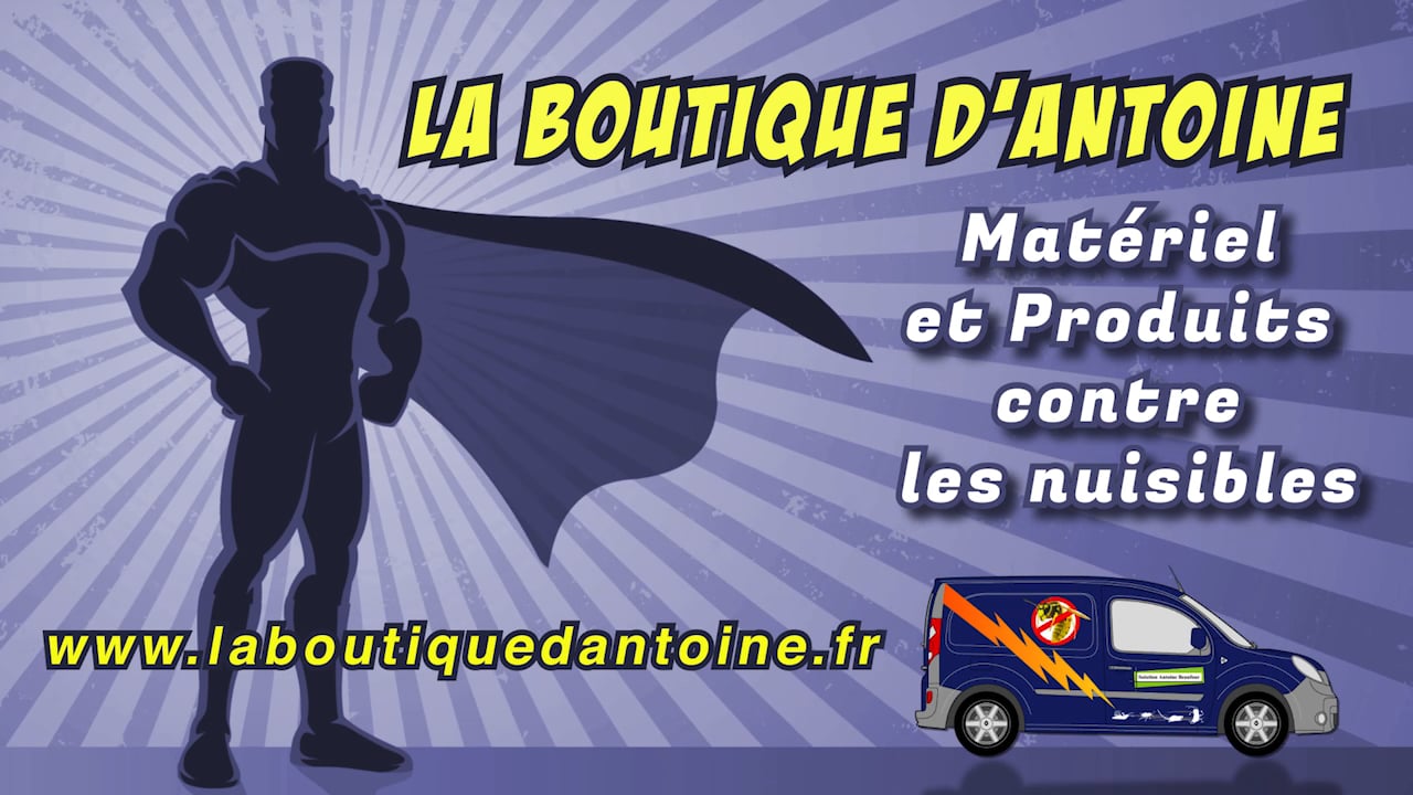 Solution Antoine Beaufour • Flytrap on Vimeo
