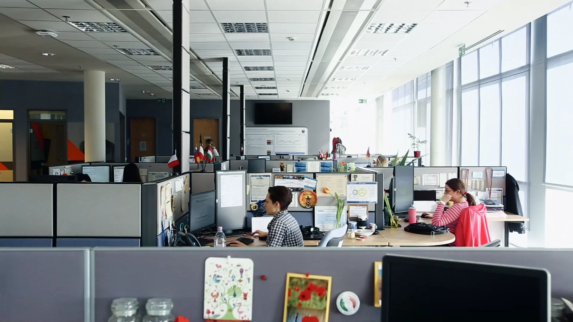 National Instruments Hungary - Ági, Shared Service Center (EN, 2017) on ...