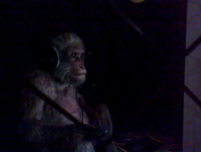 TV-watching monkey on Vimeo