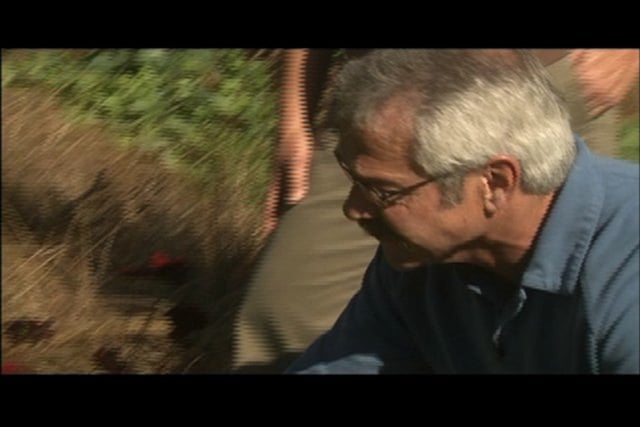 HGTV at Chocolate Flower Farm