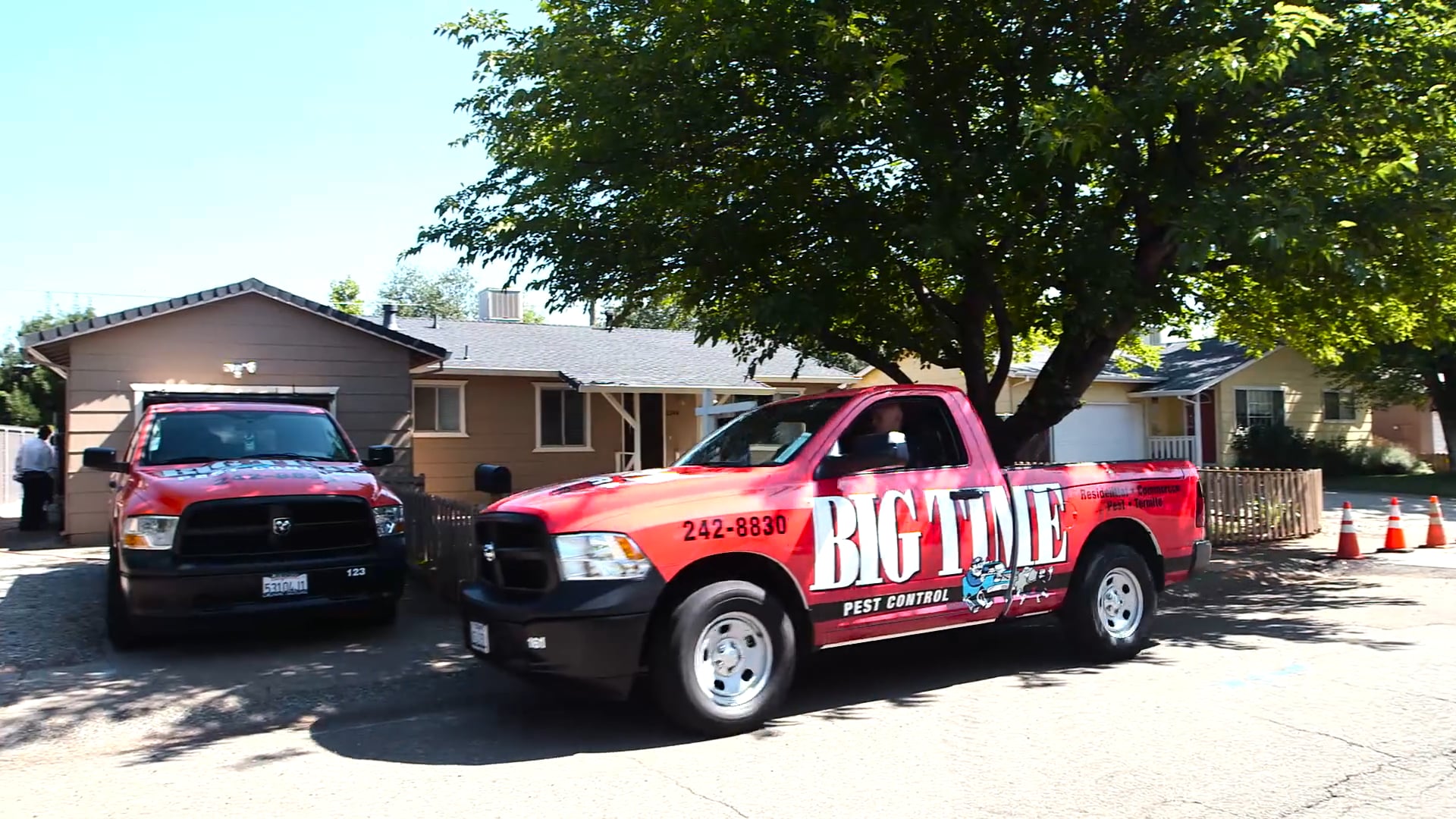 A Day in the Life: Big Time Pest Control on Vimeo