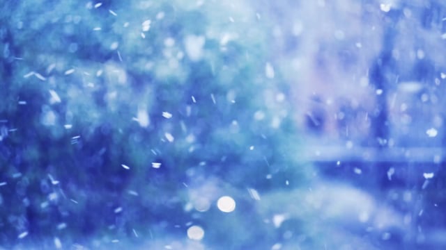 2,000+ Free Spring & Nature Videos, HD & 4K Clips - Pixabay