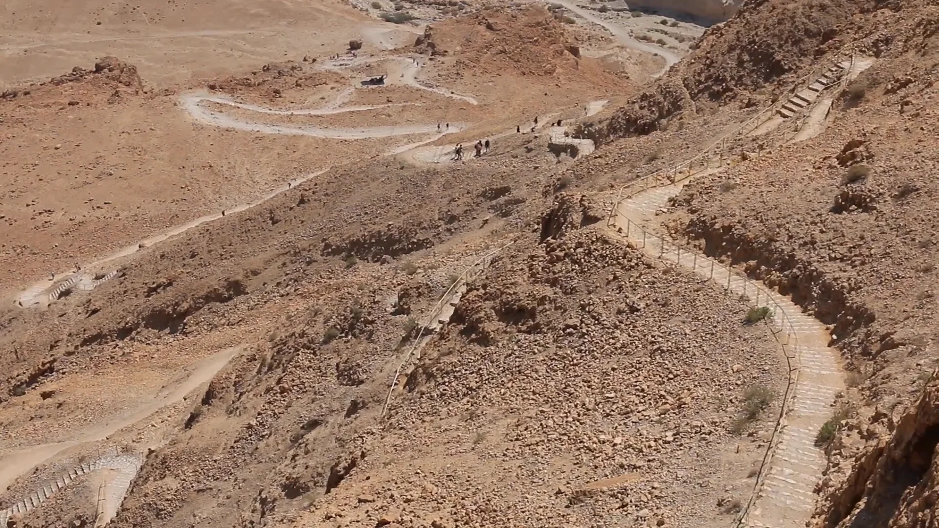 Ronit Bender introduction