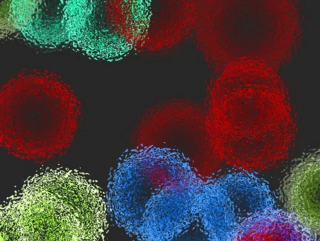 the machine - art installation - example visualization