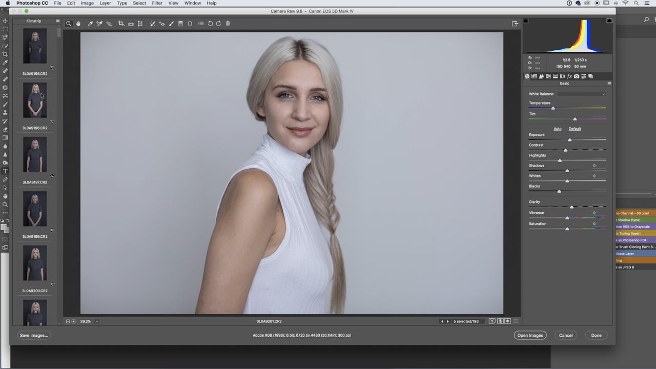 Image Review - Headshots w/ Sue (Courses) - The Portrait System