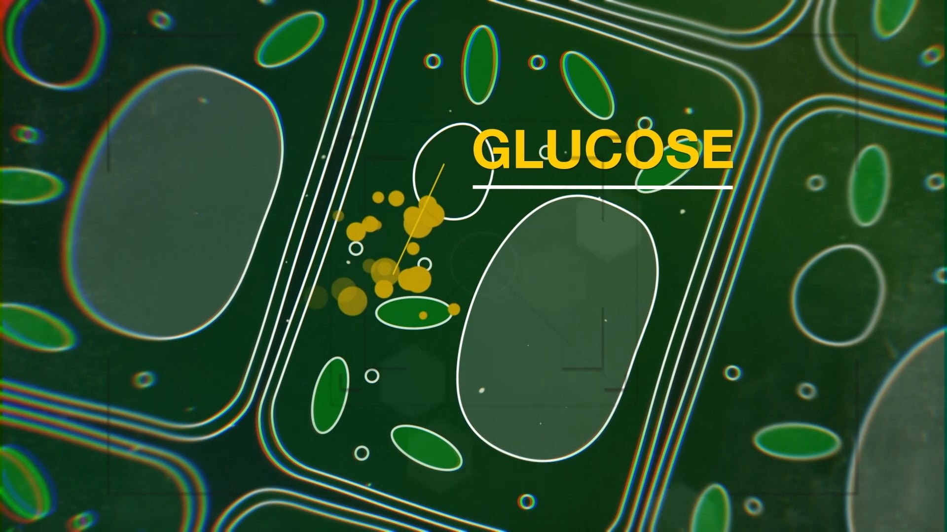 BBC Bitesize: Biology // N4 Photosynthesis on Vimeo