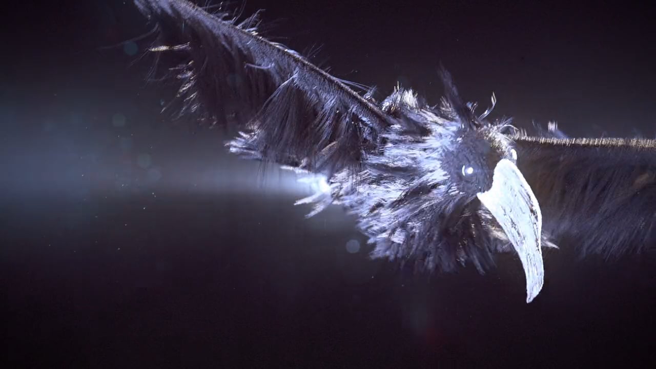 Techno Bird on Vimeo