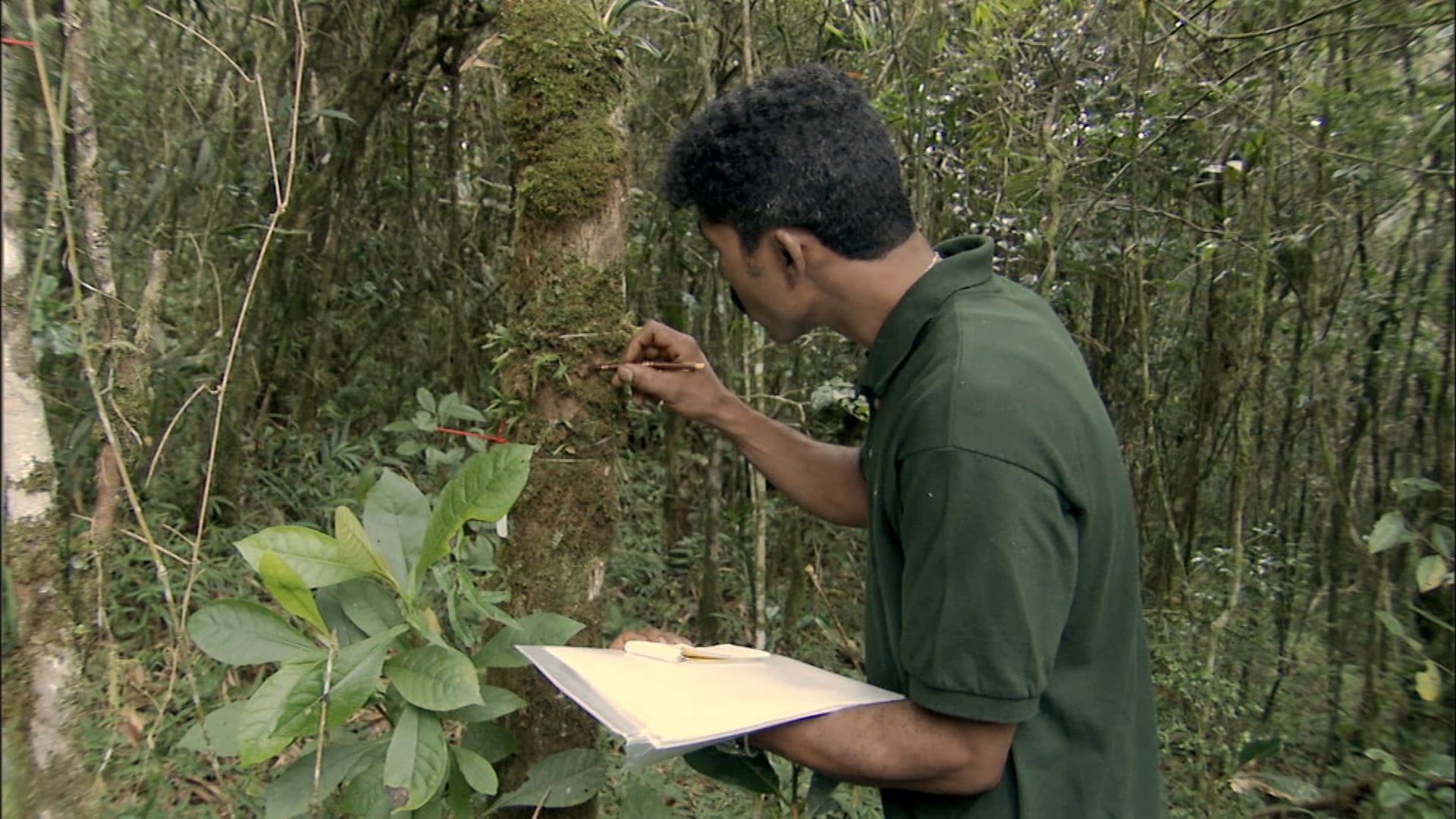 Madagascar Intro on Vimeo