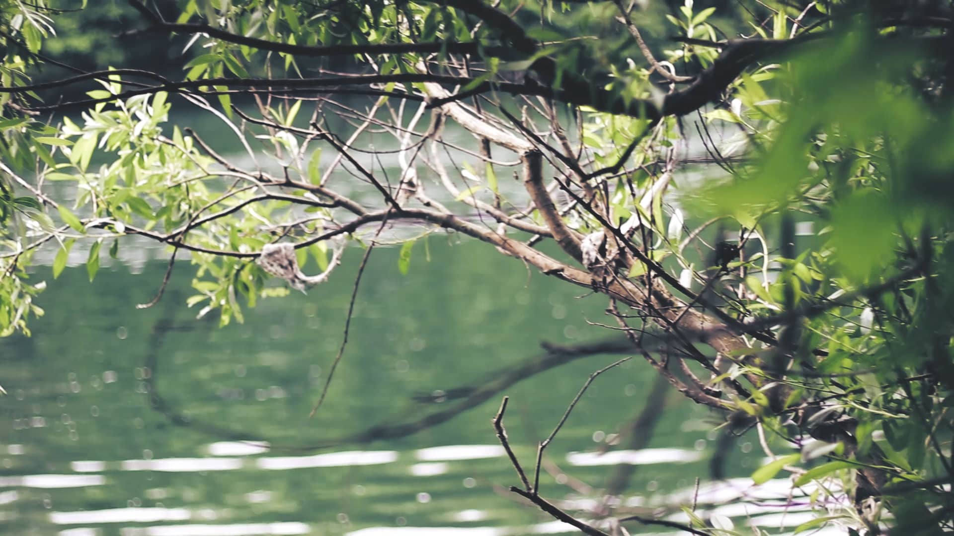 JAPANESE VIBE on Vimeo