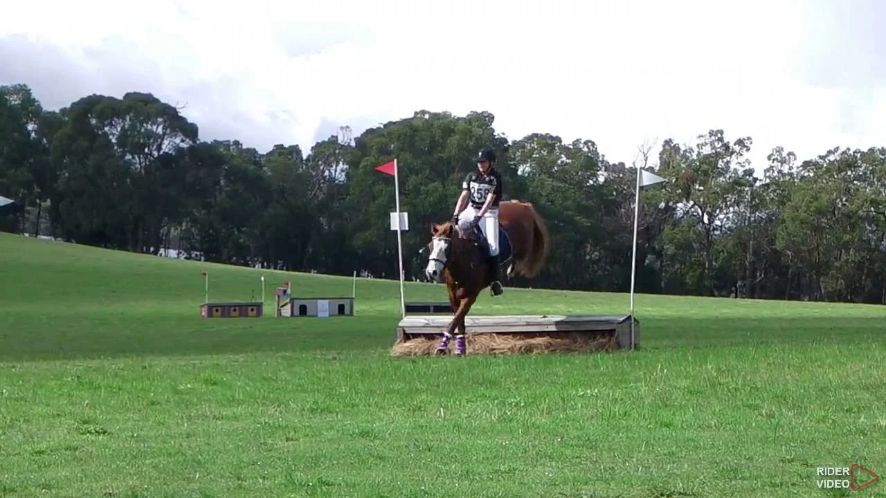 Grace Lording riding Bostons Burnin Baby 258 Training 5 Tintern Grammar ...