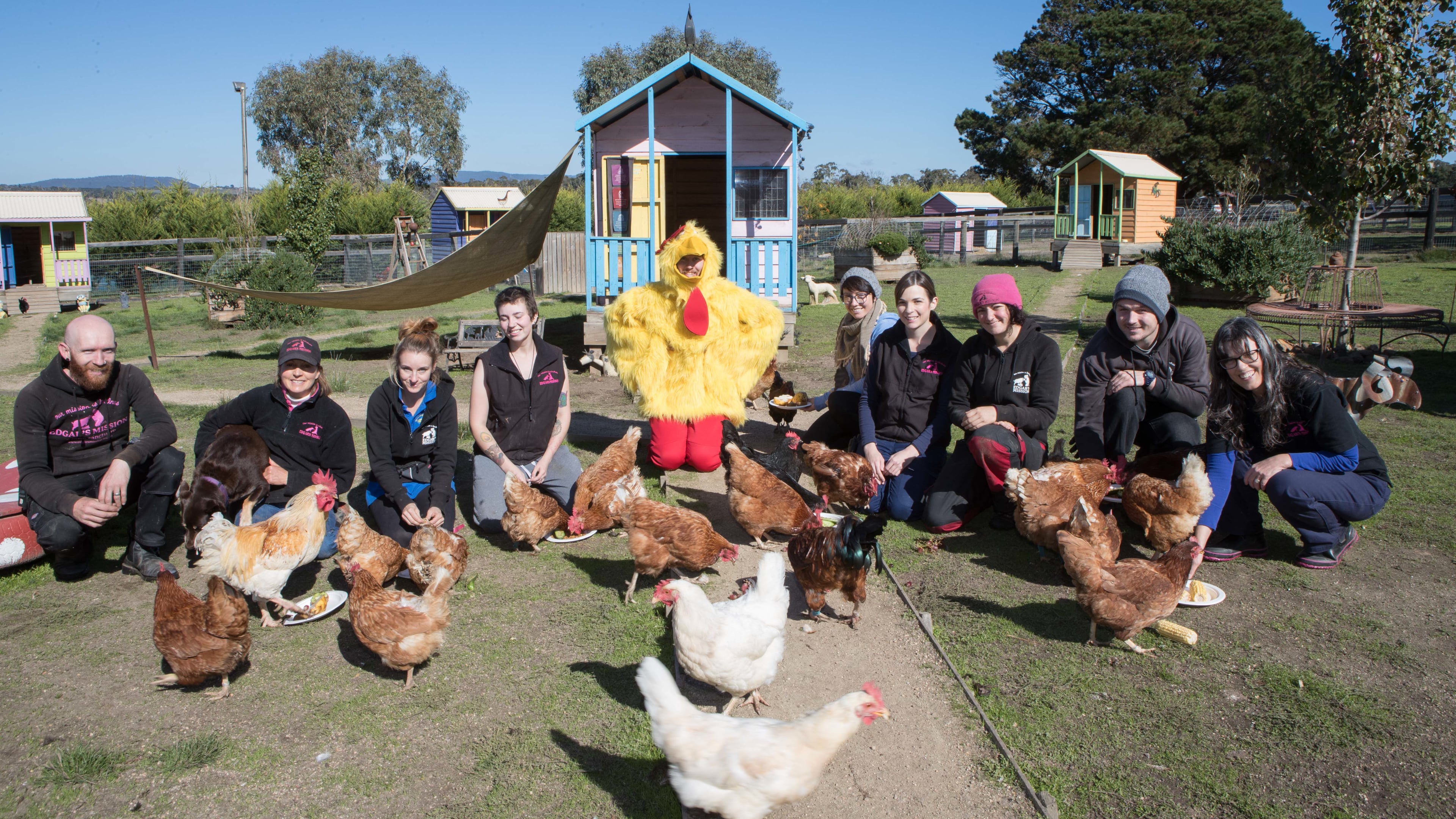 International Respect for Chickens Day on Vimeo