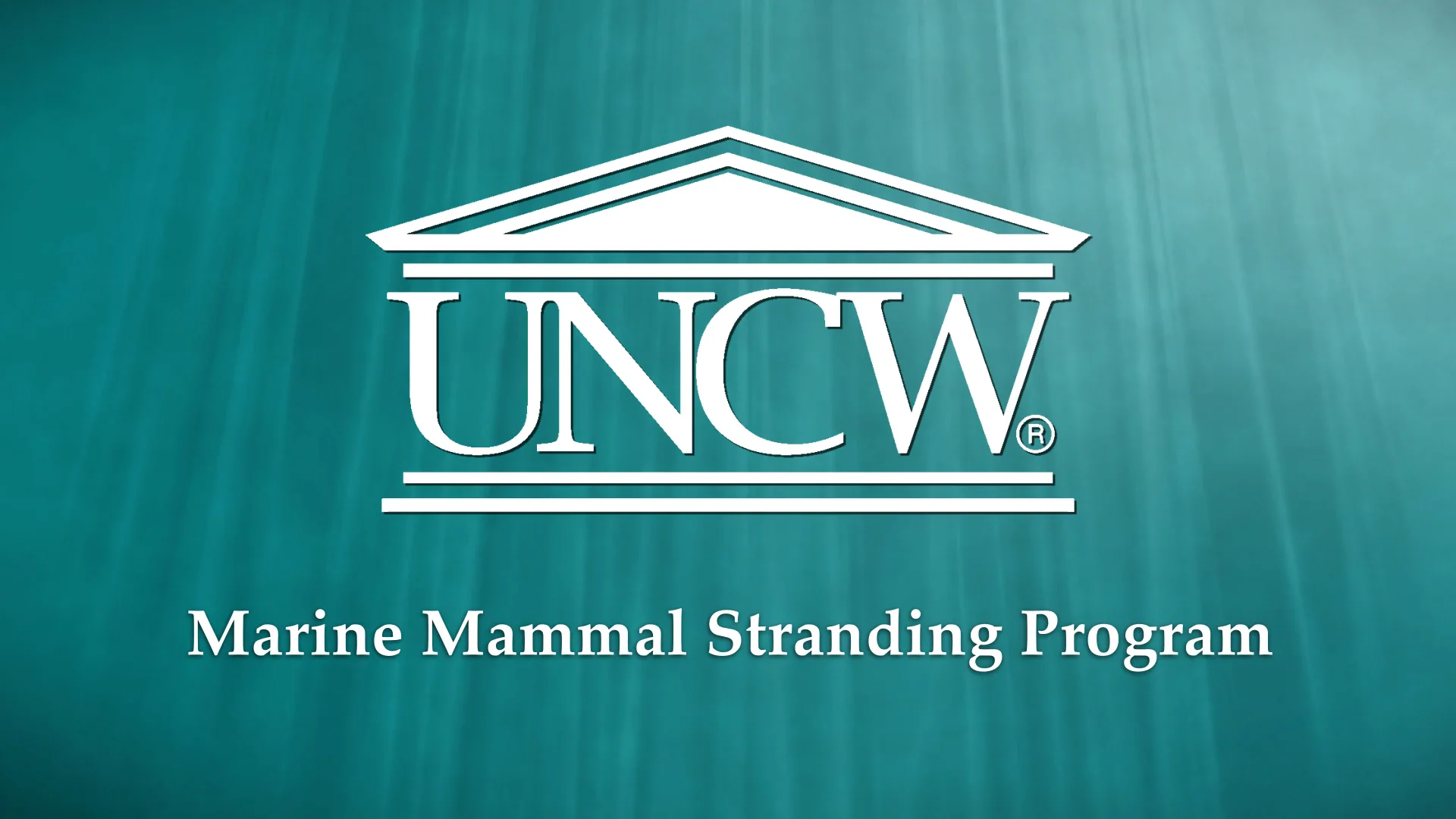 Marine Mammal Stranding Program at UNCW