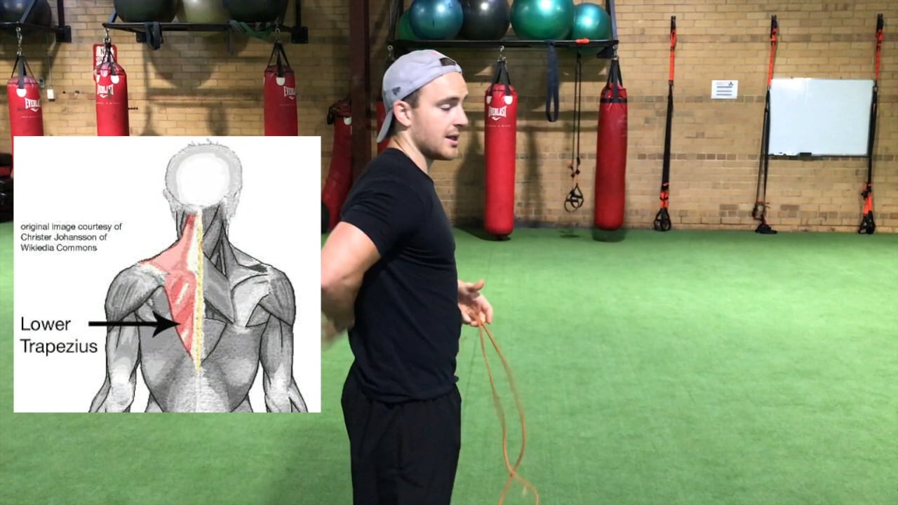 Lower Trap Activation Drill on Vimeo