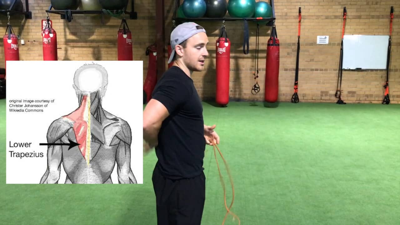 Lower Trap Activation Drill on Vimeo