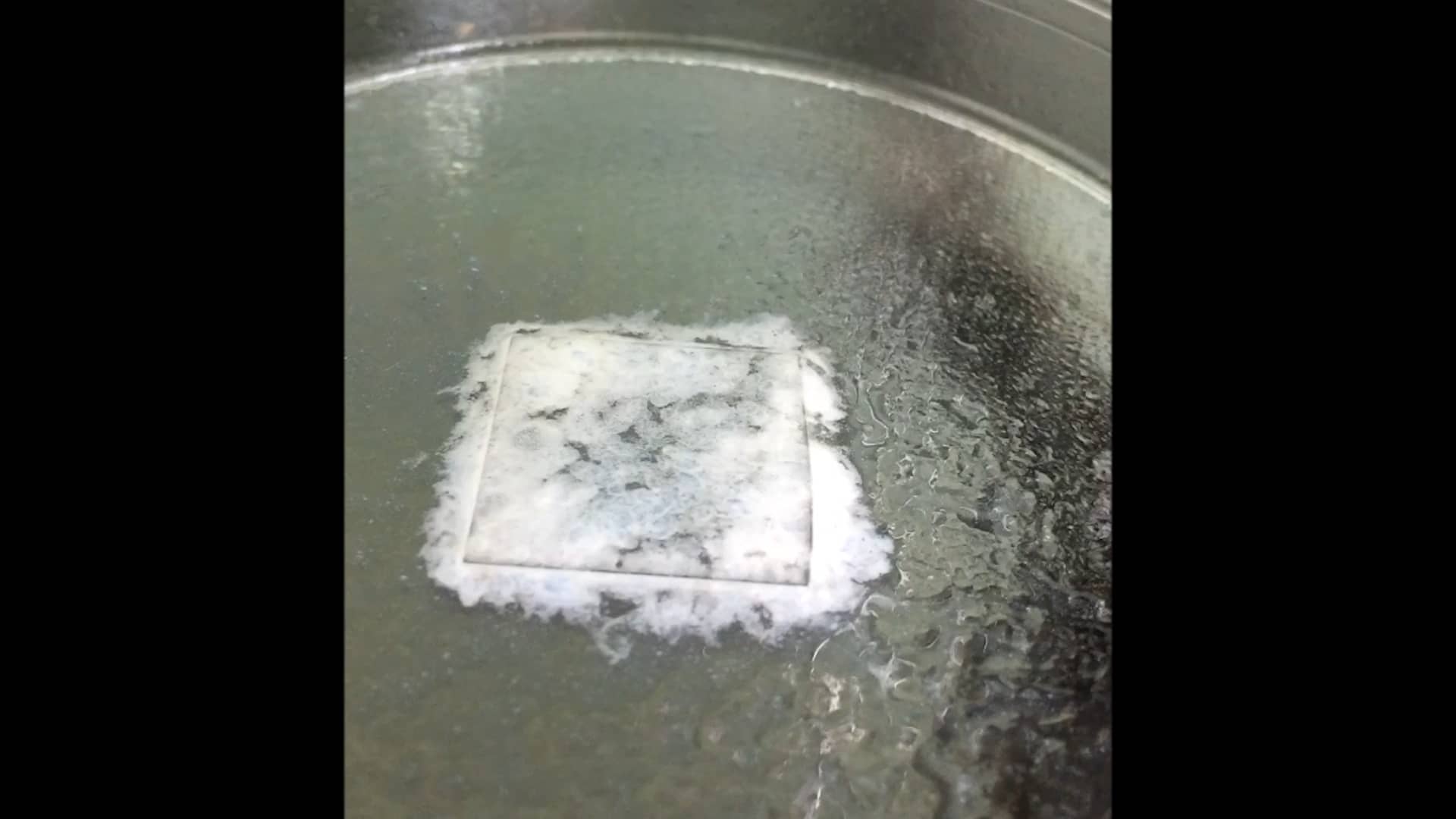 Indicon® Gel Positive Reaction to Pseudomonas Biofilm on Vimeo