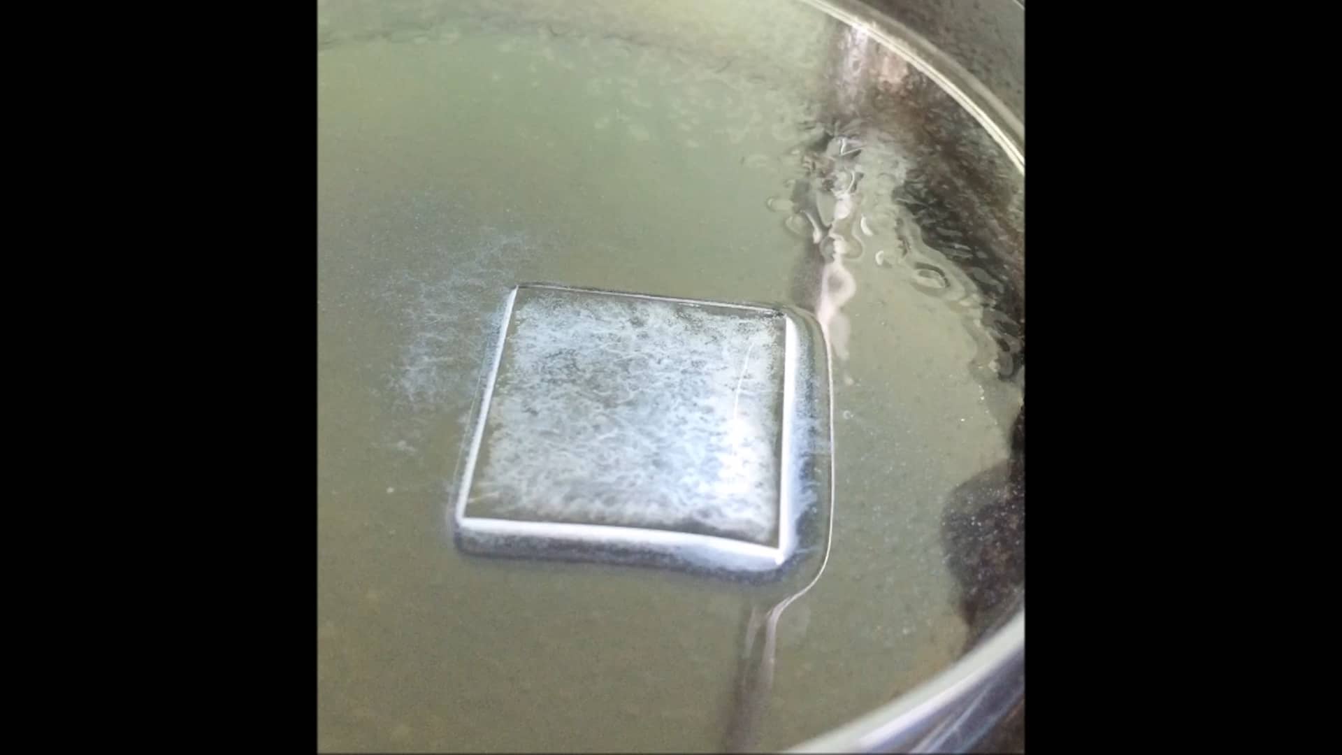 Indicon® Gel Positive Reaction to Listeria Biofilm on Vimeo