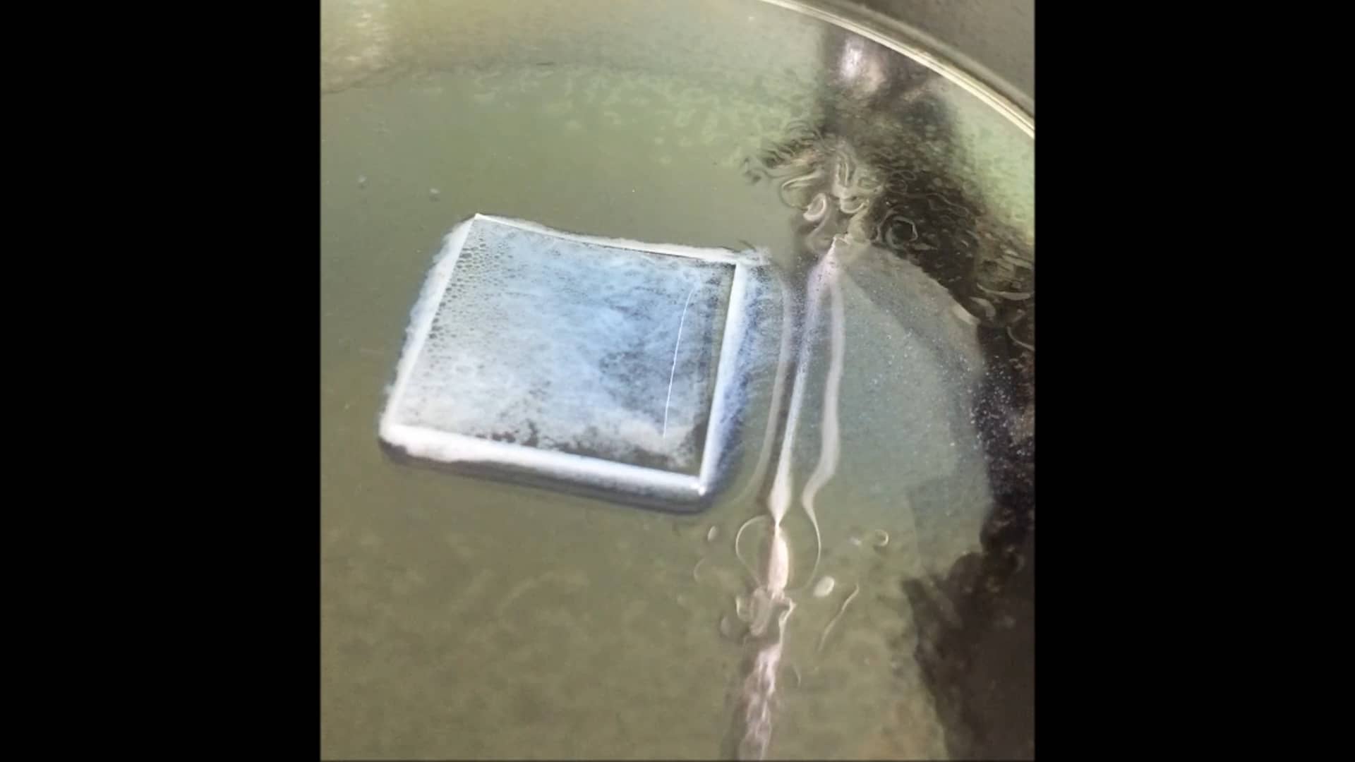 Indicon® Gel Positive Reaction to Salmonella Biofilm on Vimeo