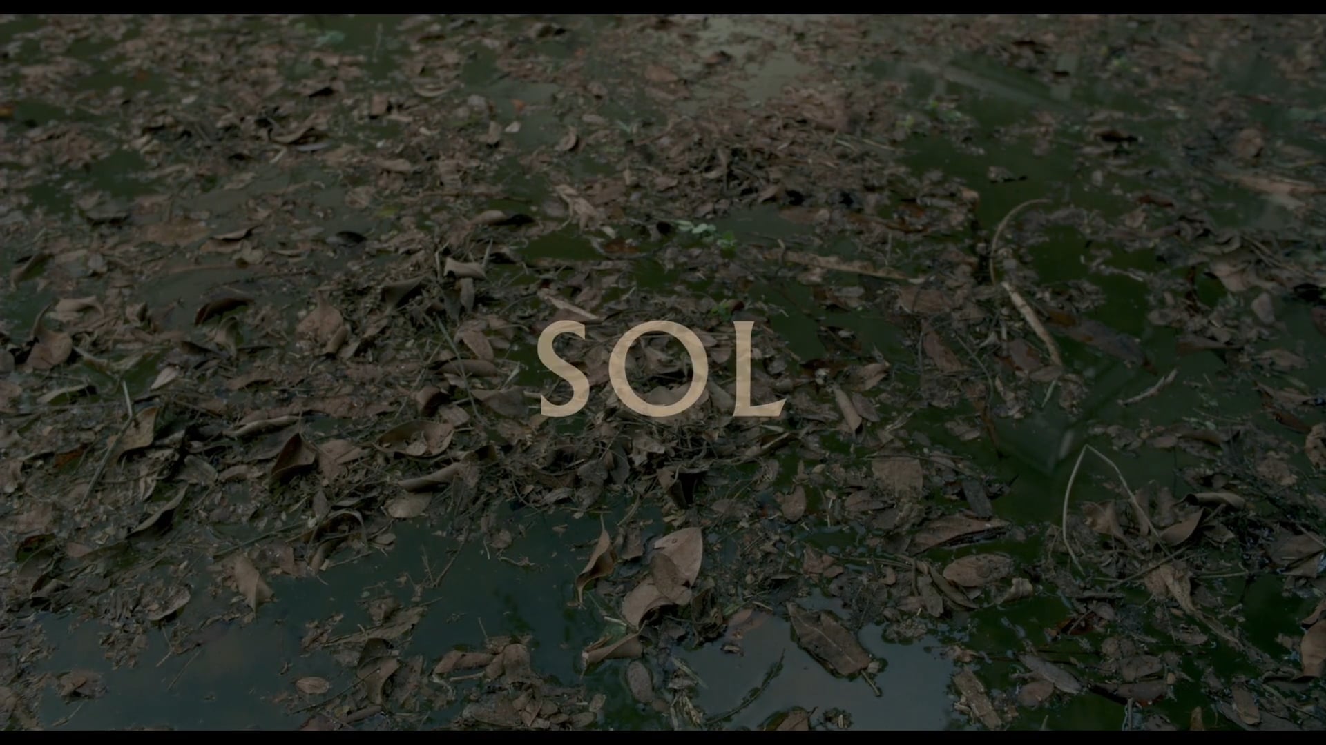 Sol | Títulos e Créditos (Curta Metragem) on Vimeo