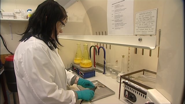 Cleaning the bone sample — Science Learning Hub