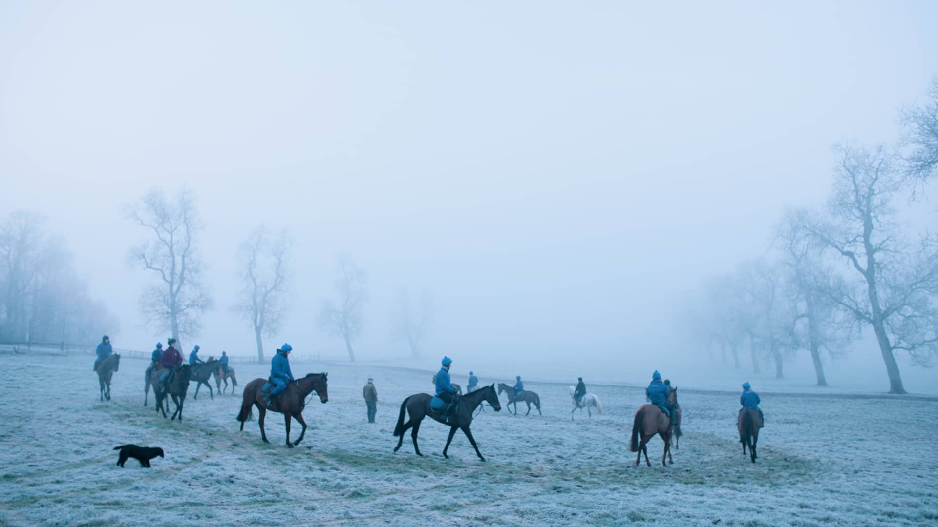 Coral - At The Races on Vimeo