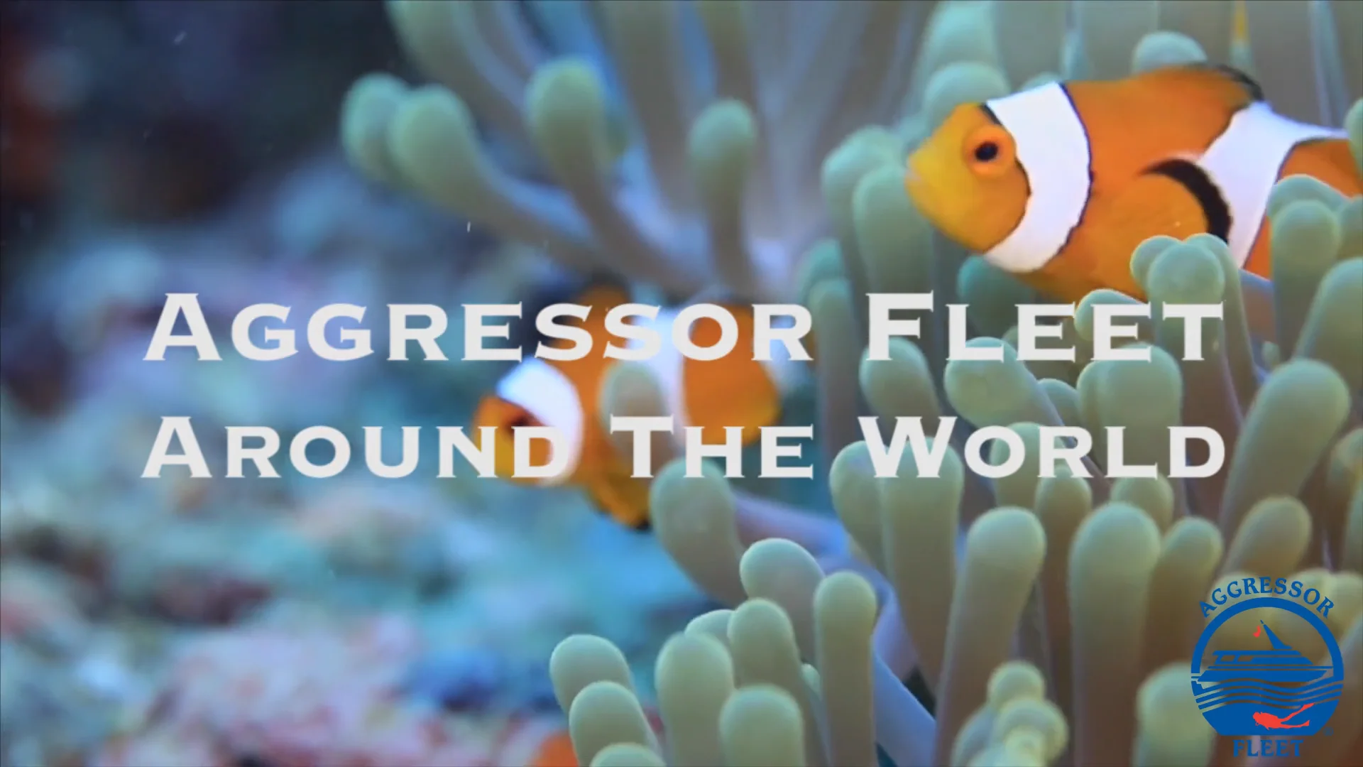 Aggressor Fleet Around the World on Vimeo