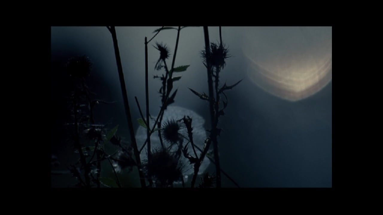 Haydn Walker Compilation on Vimeo