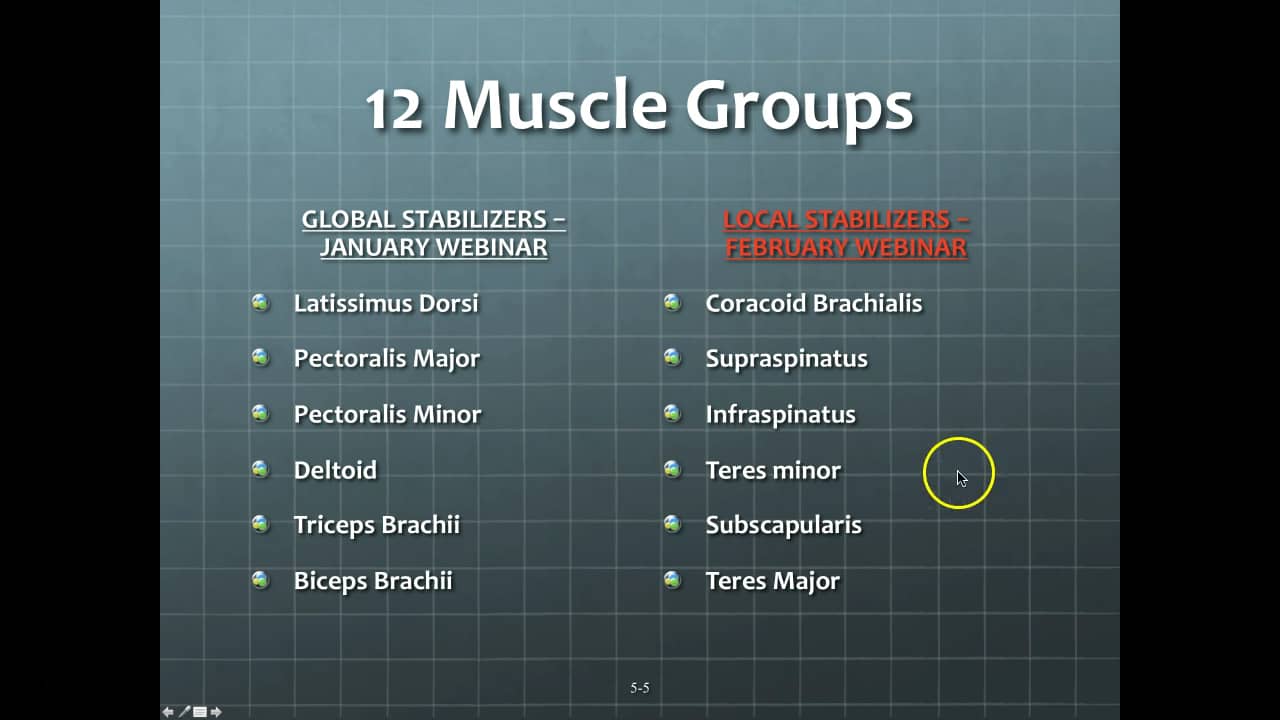 RWL Webinar Preview Feb 2017 -- The Shoulder, Local Stabilizers ...