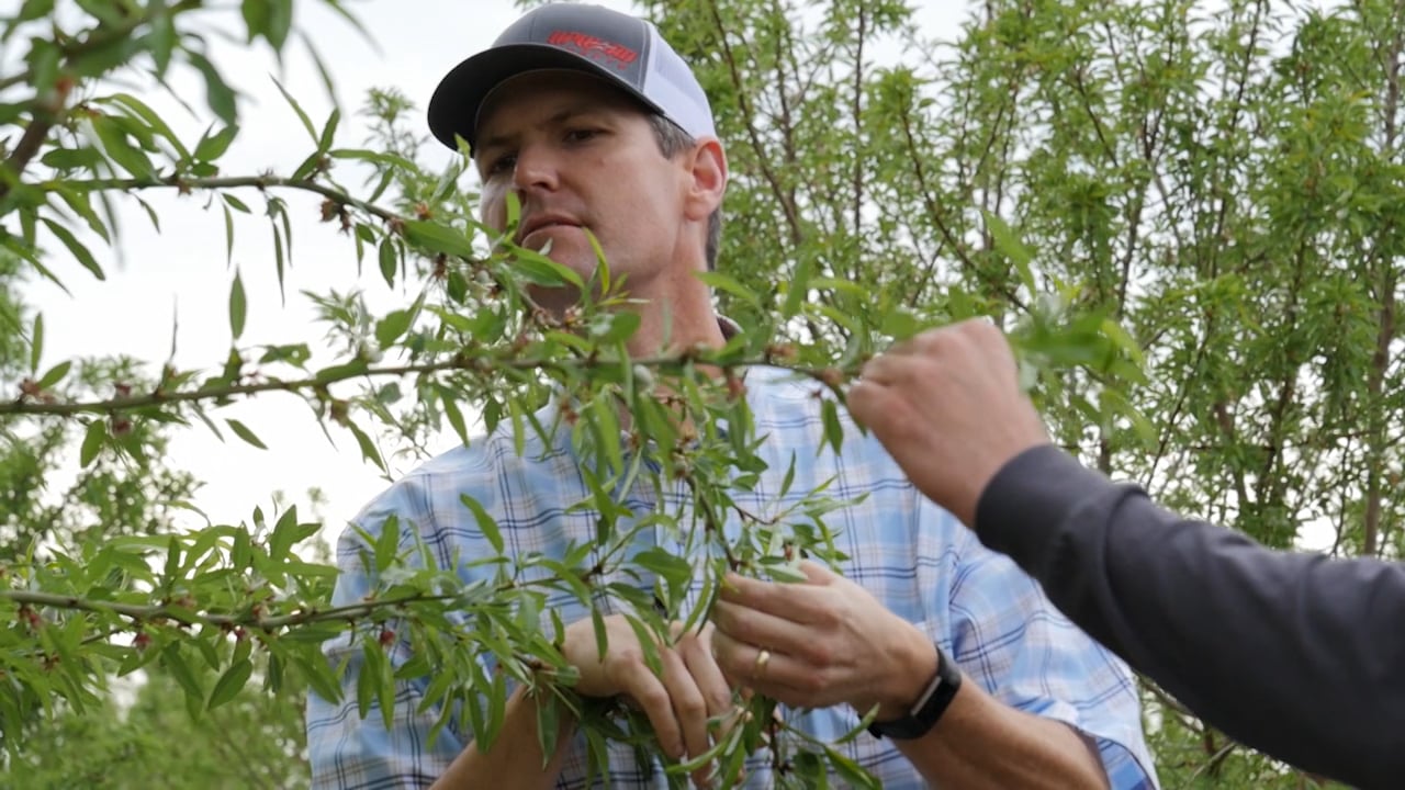 Leanne Sutter Episode RFD-TV on Vimeo