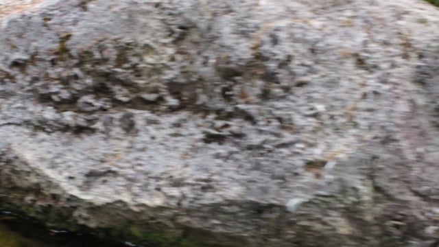 4+ Free Slow Panning & Nature Videos, HD & 4K Clips - Pixabay