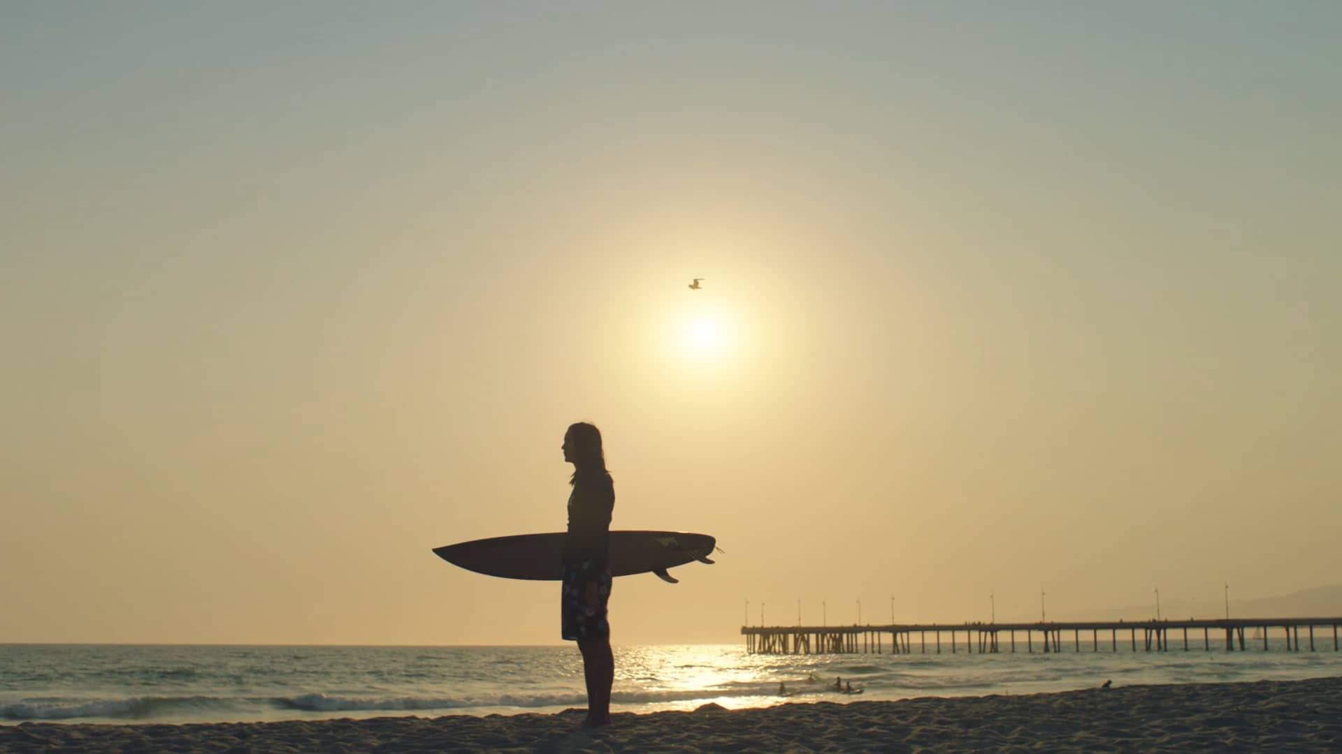 EXPEDIA - EXPEDIA+ on Vimeo