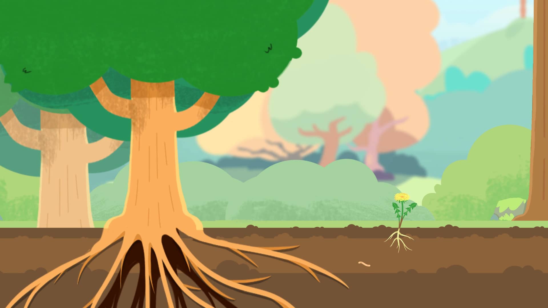 BBC Bitesize - Roots and Stems on Vimeo