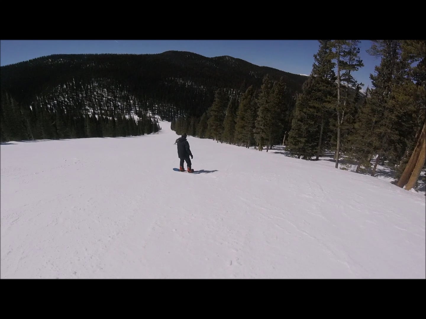 Bonus Video on Vimeo