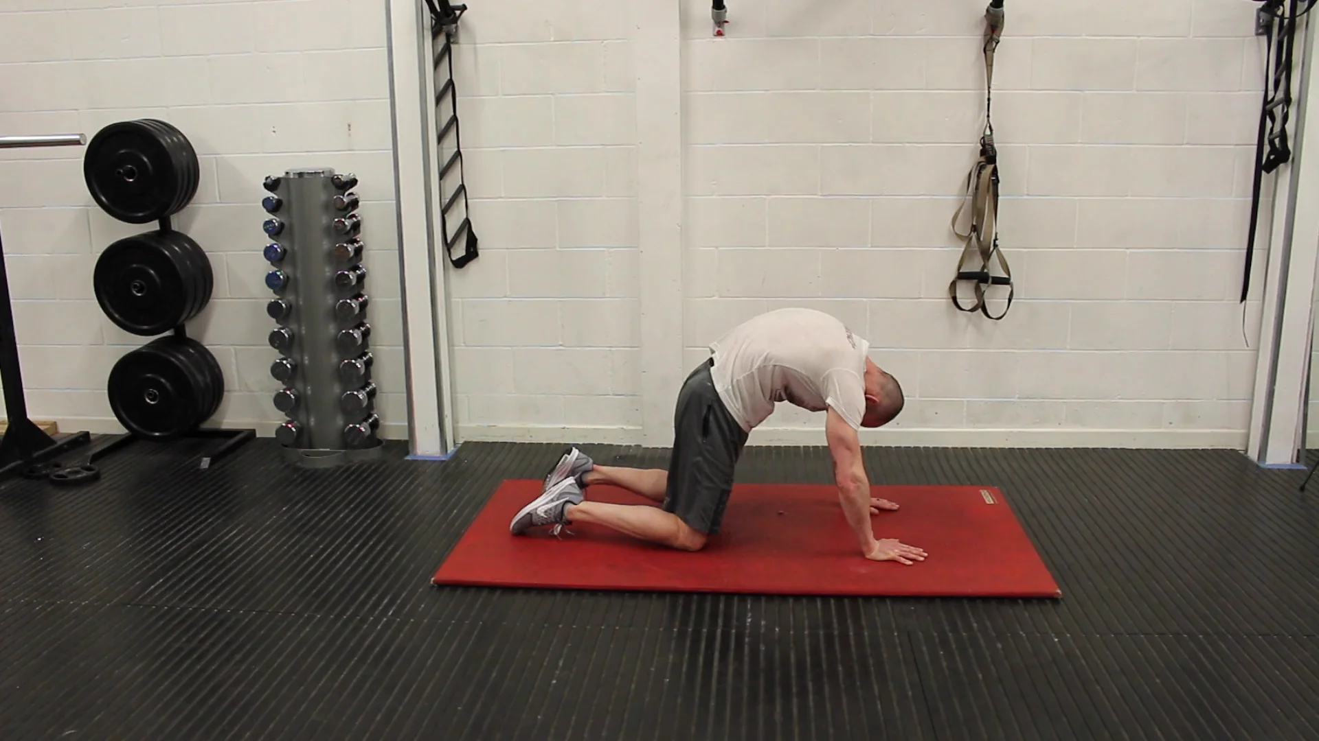 Dynamic Mobility/Movement Prep Example - Cat and Cow on Vimeo