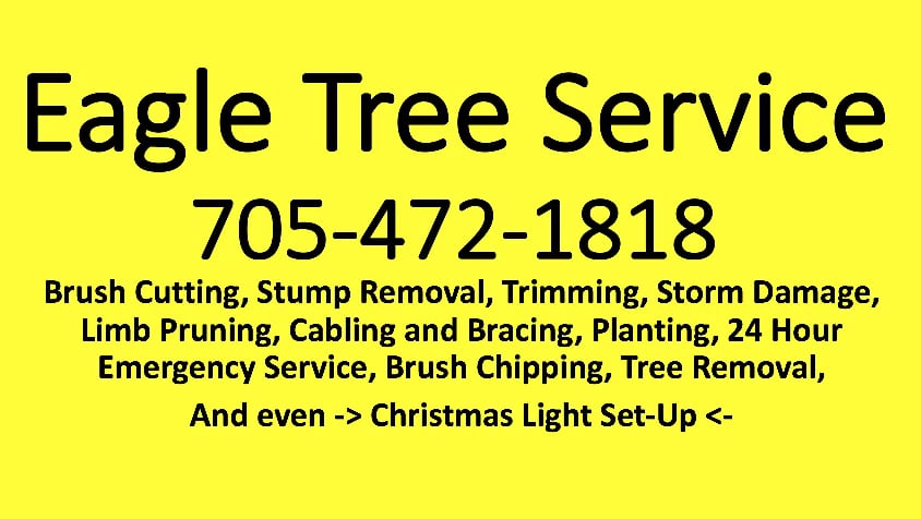 Eagle Tree And Landscaping Service on Vimeo