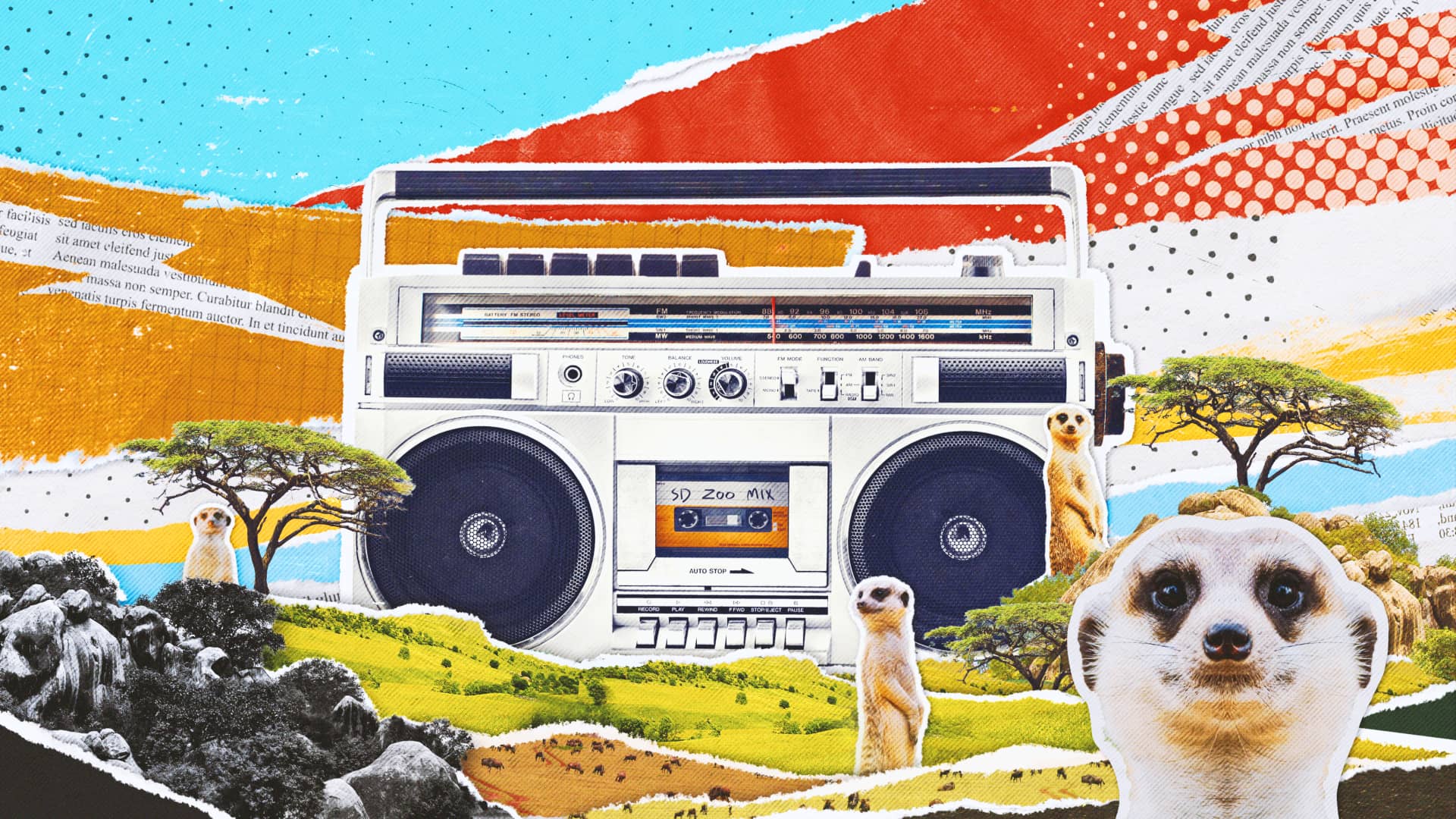 San Diego - 'Africa Rocks: Kopje' on Vimeo