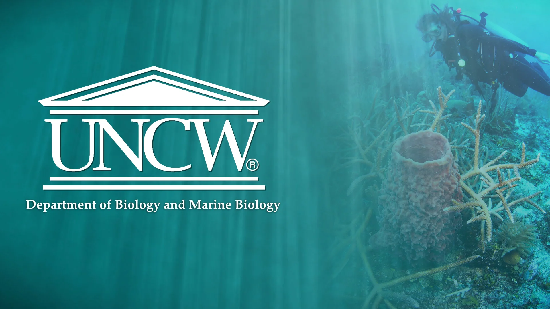 Coral Reef Ecology in the Department of Biology and Marine Biology at ...