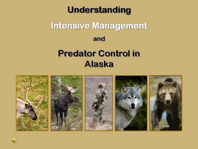 Understanding Intensive Management and Predator Control in Alaska on Vimeo