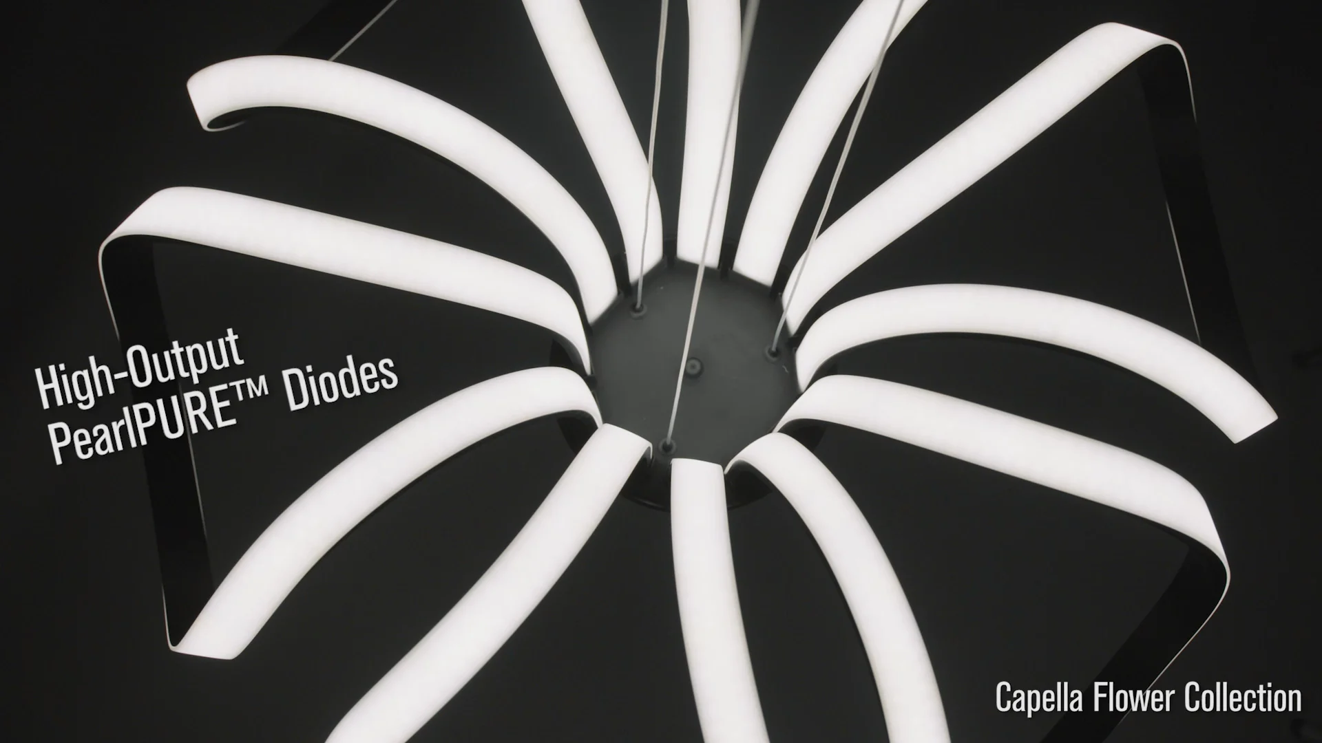 Vonn Lighting: Capella Flower Collection on Vimeo