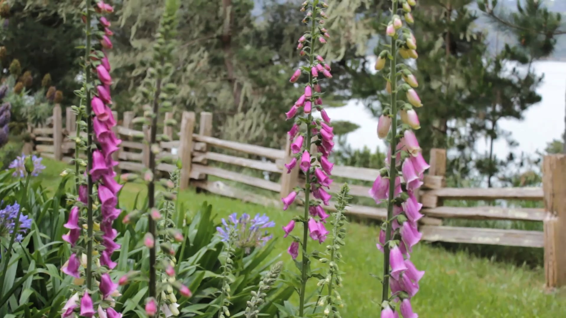 Marconi Conference Center on Vimeo