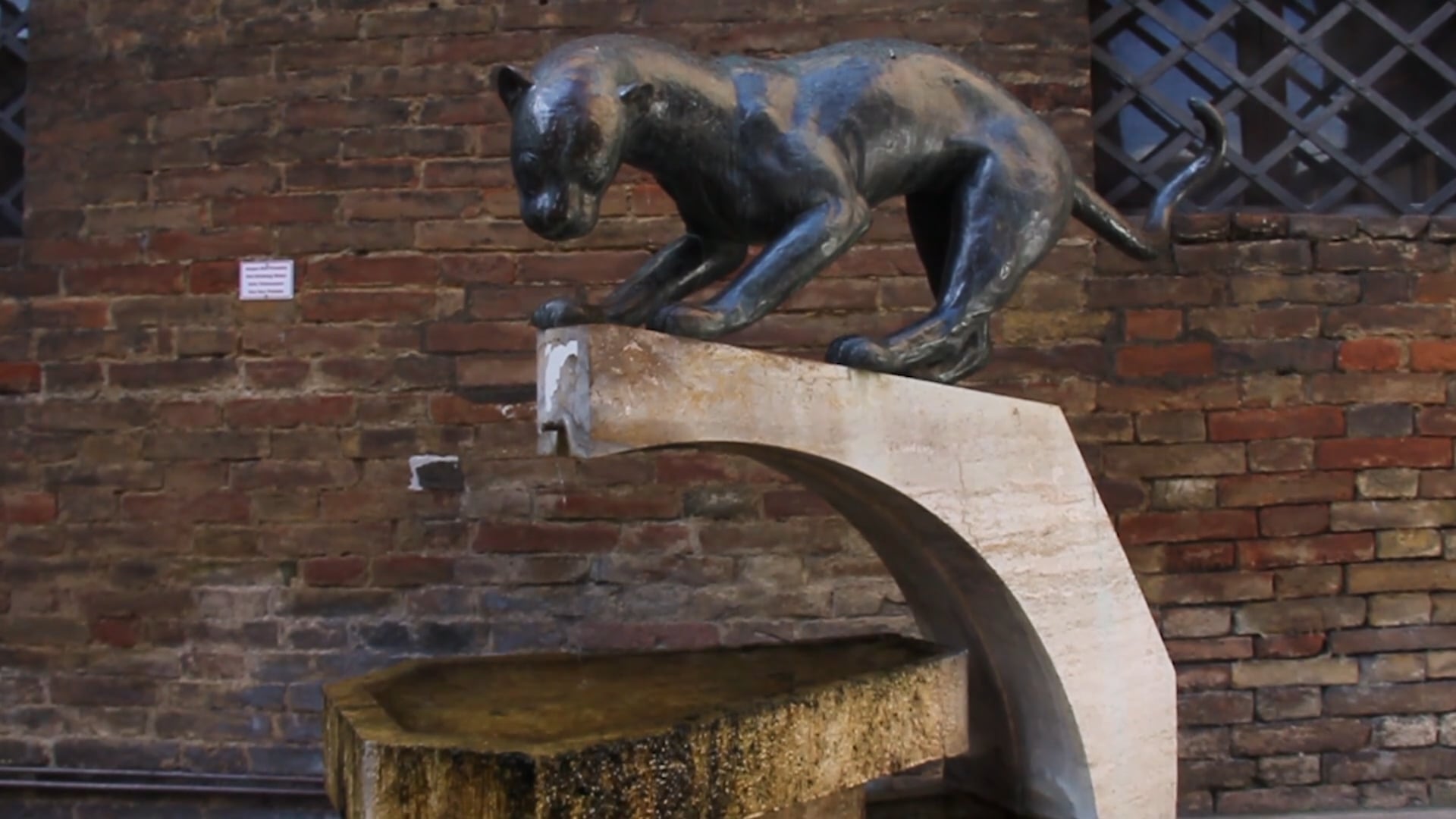 Contrada Della Pantera on Vimeo