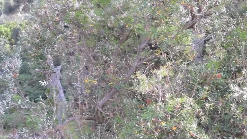 Everything - Ball Fail on Vimeo