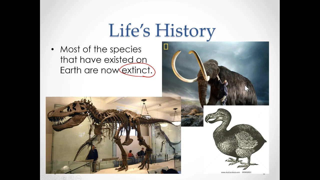 8.1 - How did life begin and change on Earth over time on Vimeo