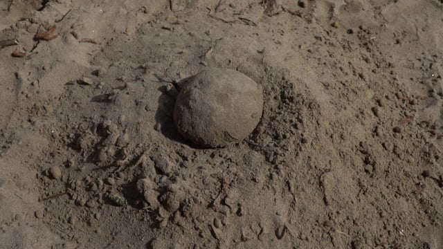 Sand Meteorite A Hit Shock - Free video on Pixabay