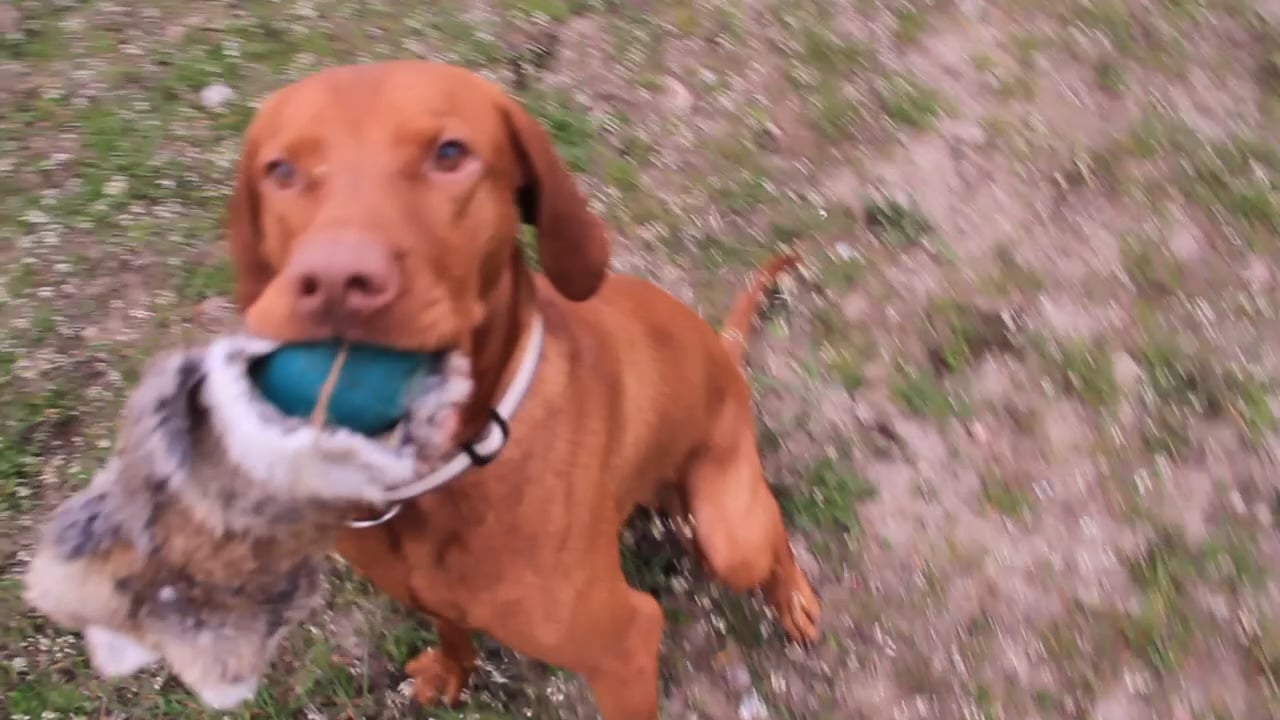 Pluto Hunting on Vimeo