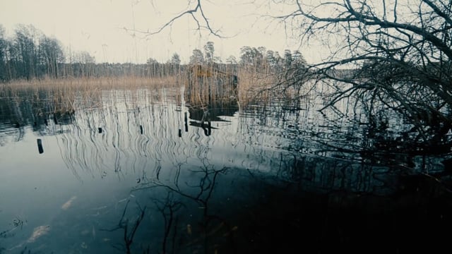 Eduardo Negrín Torres on Vimeo