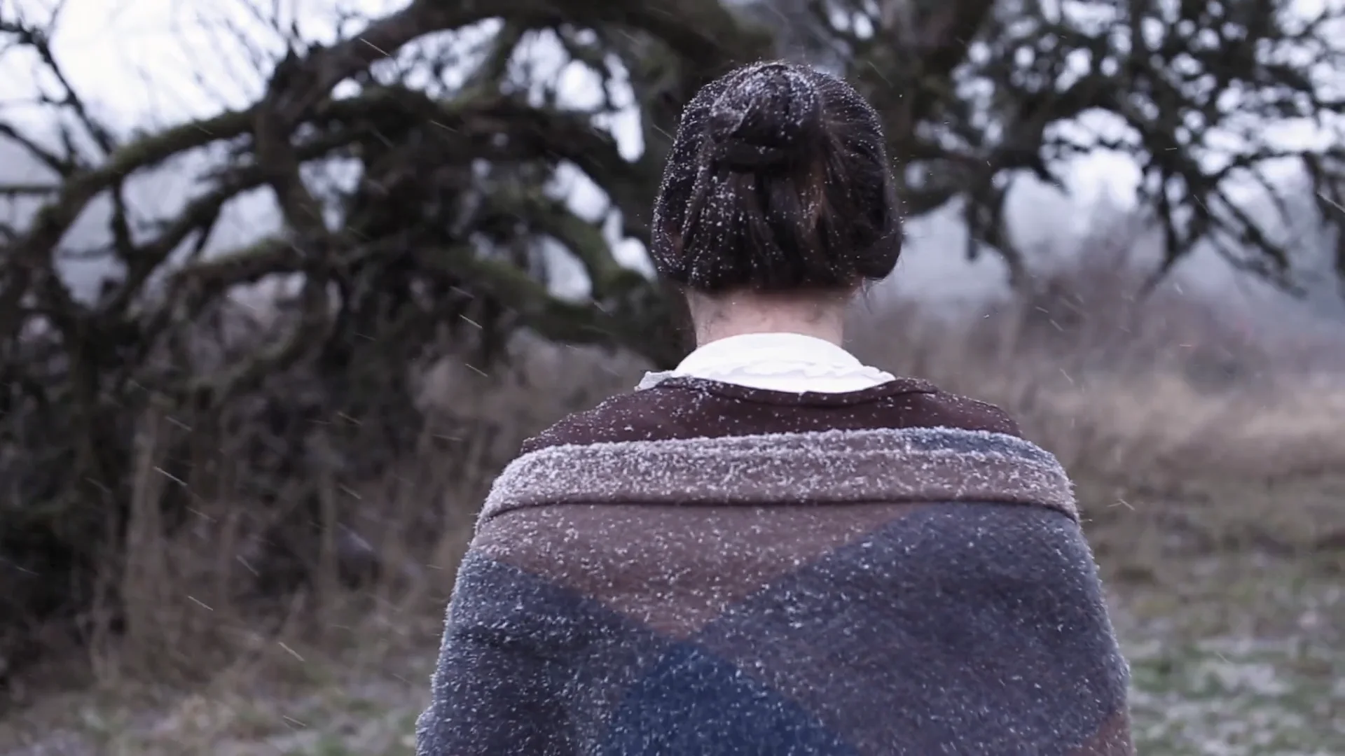 JANE EYRE Promo — SAMC Theatre on Vimeo