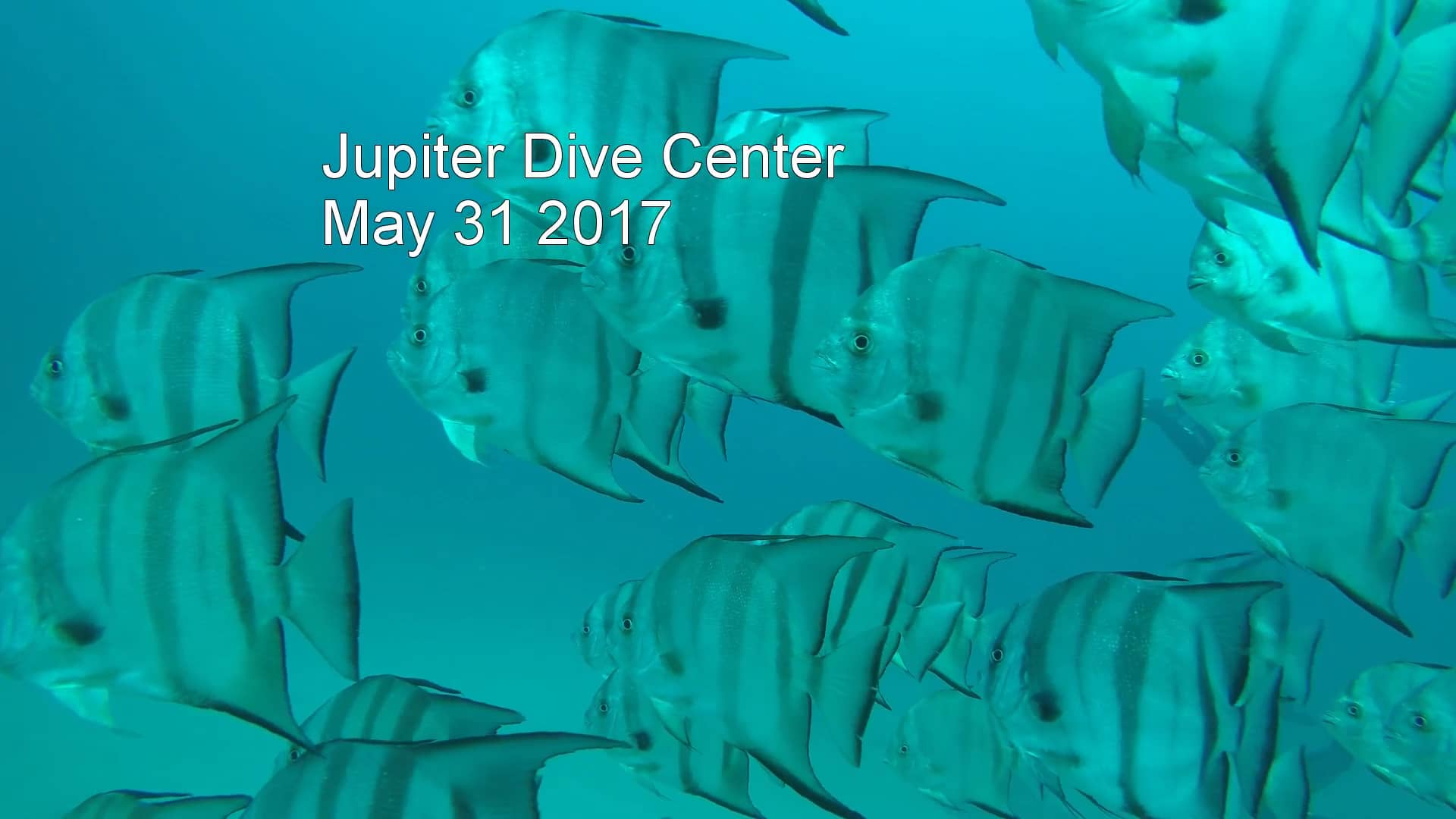 Jupiter Dive Center 5.31.17 on Vimeo