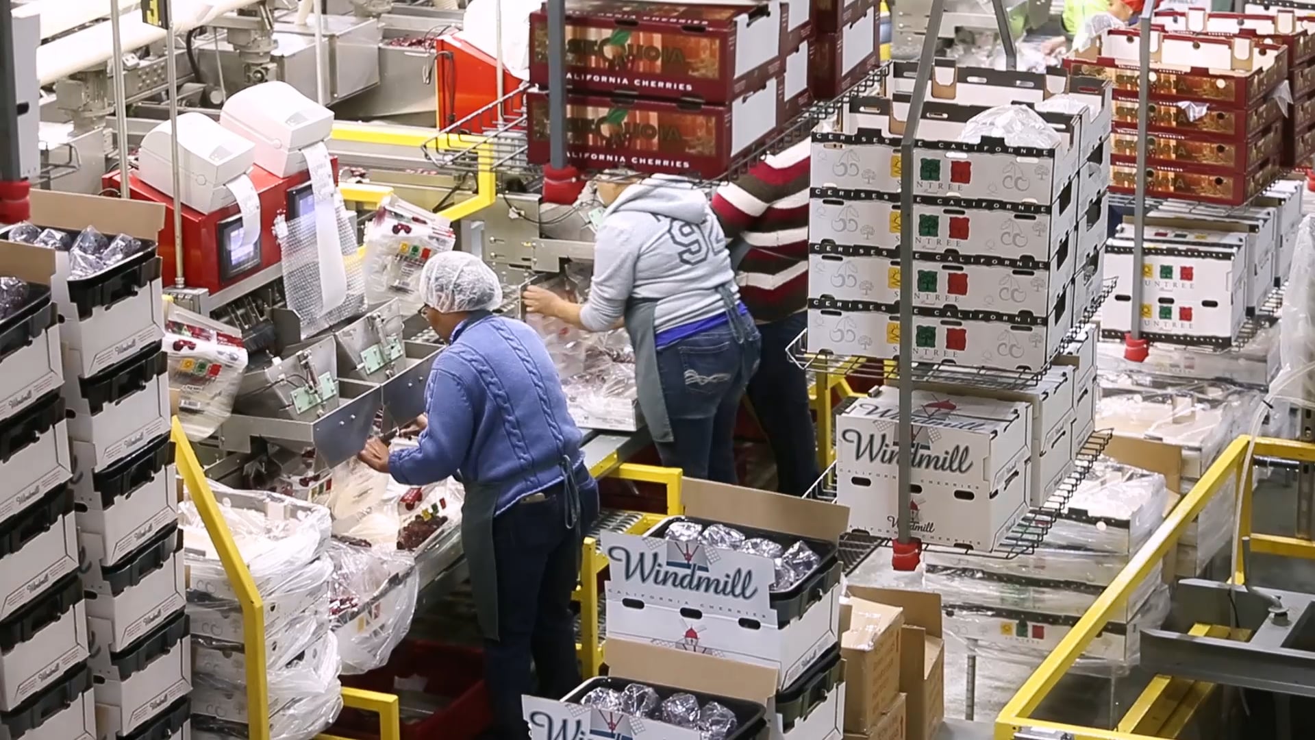 WARMERDAM CHERRY PACKING on Vimeo